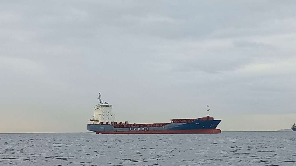 Our Fleet – Max – Toba Ship